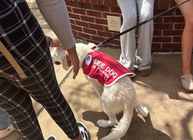 Delta Gamma sweetens support for Service for Sight with ‘Donuts with ...